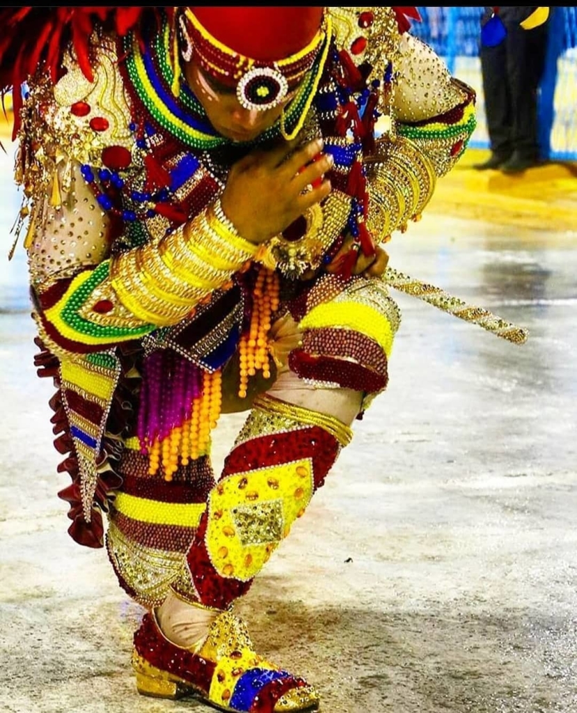 BLING CARNIVAL Costumes - 70 SEXY Eye-Popping Designs • View at SequinQueen